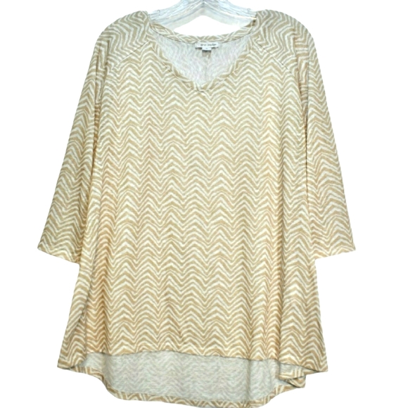 erin london | Tops | Womens Erin London Hilo Tunic Tan White Zig Zag ...